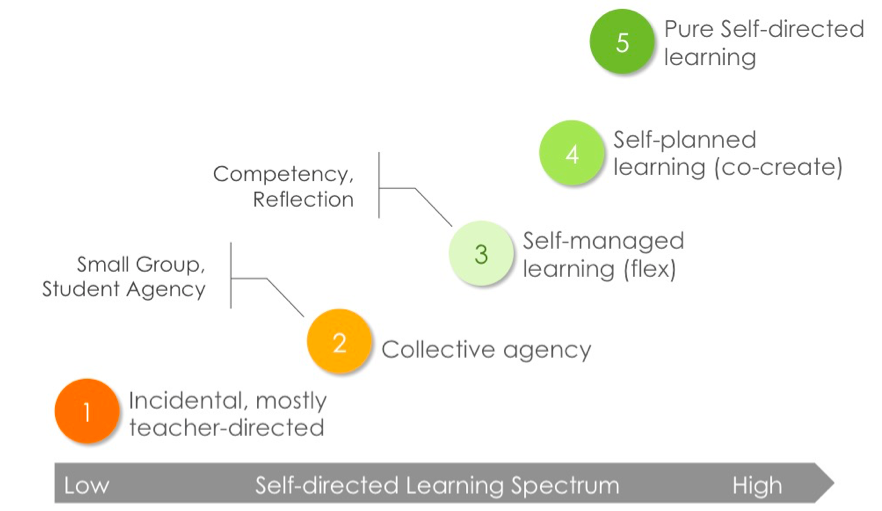 A Realistic View for Self-Directed Learning
