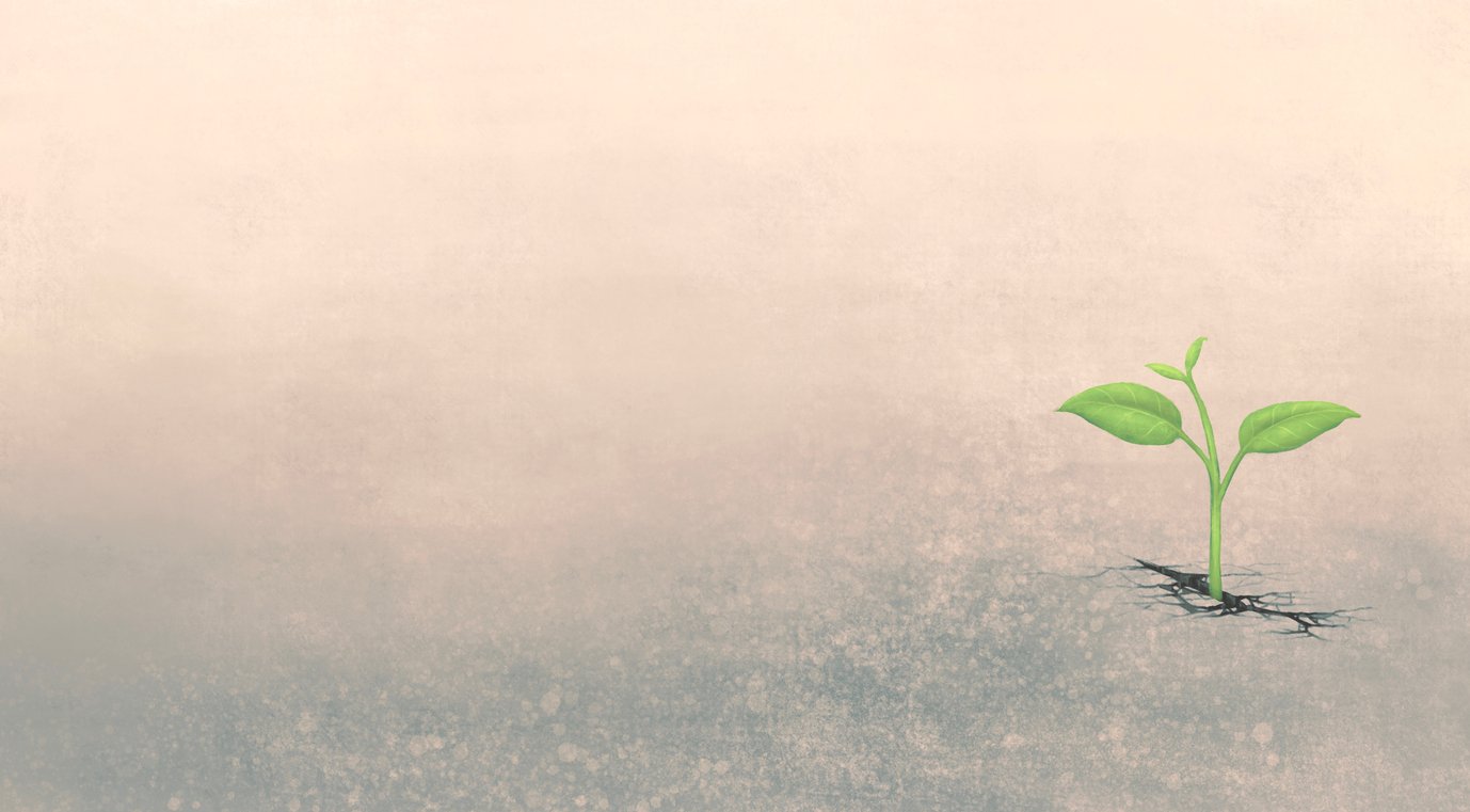 Implementing the “Best” in Imperfect Conditions: Tips for Making ...